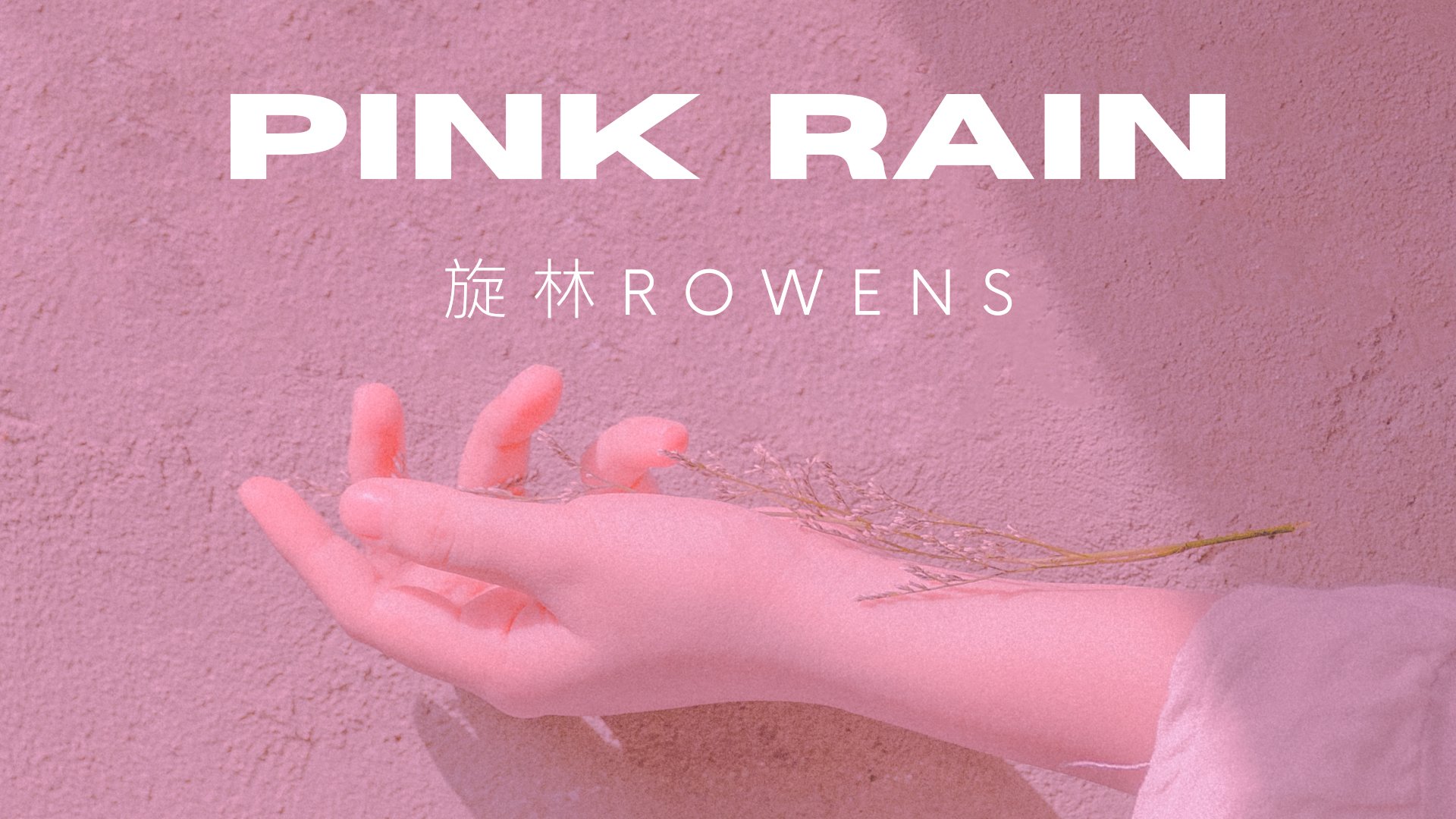 Interview with Rowens - Noisy JAMZ